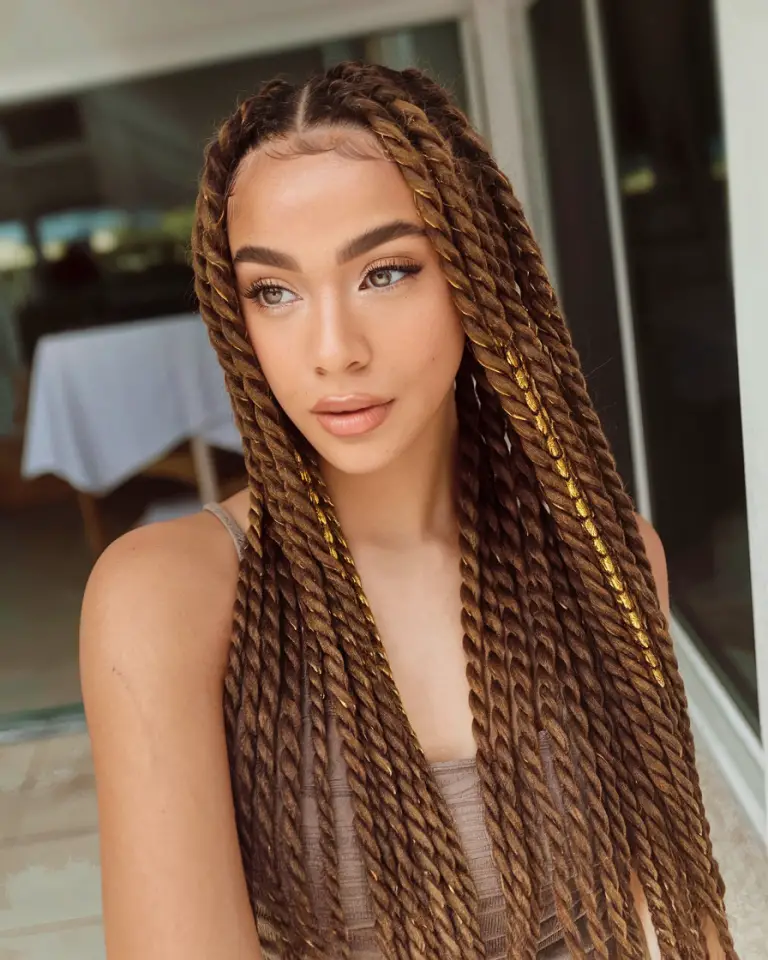 22 Spring Twist Braids Ideas for Women 2025 – Stylish & Chic Looks
